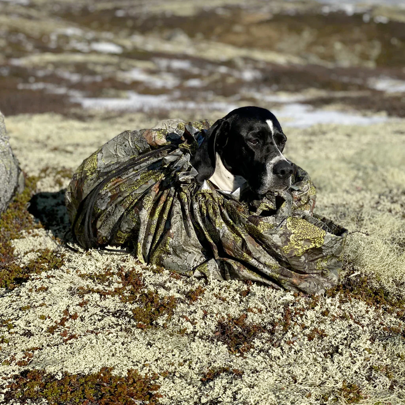 Jerven Survival Bags - Ultimate Survival Shelters – Wild & Moor